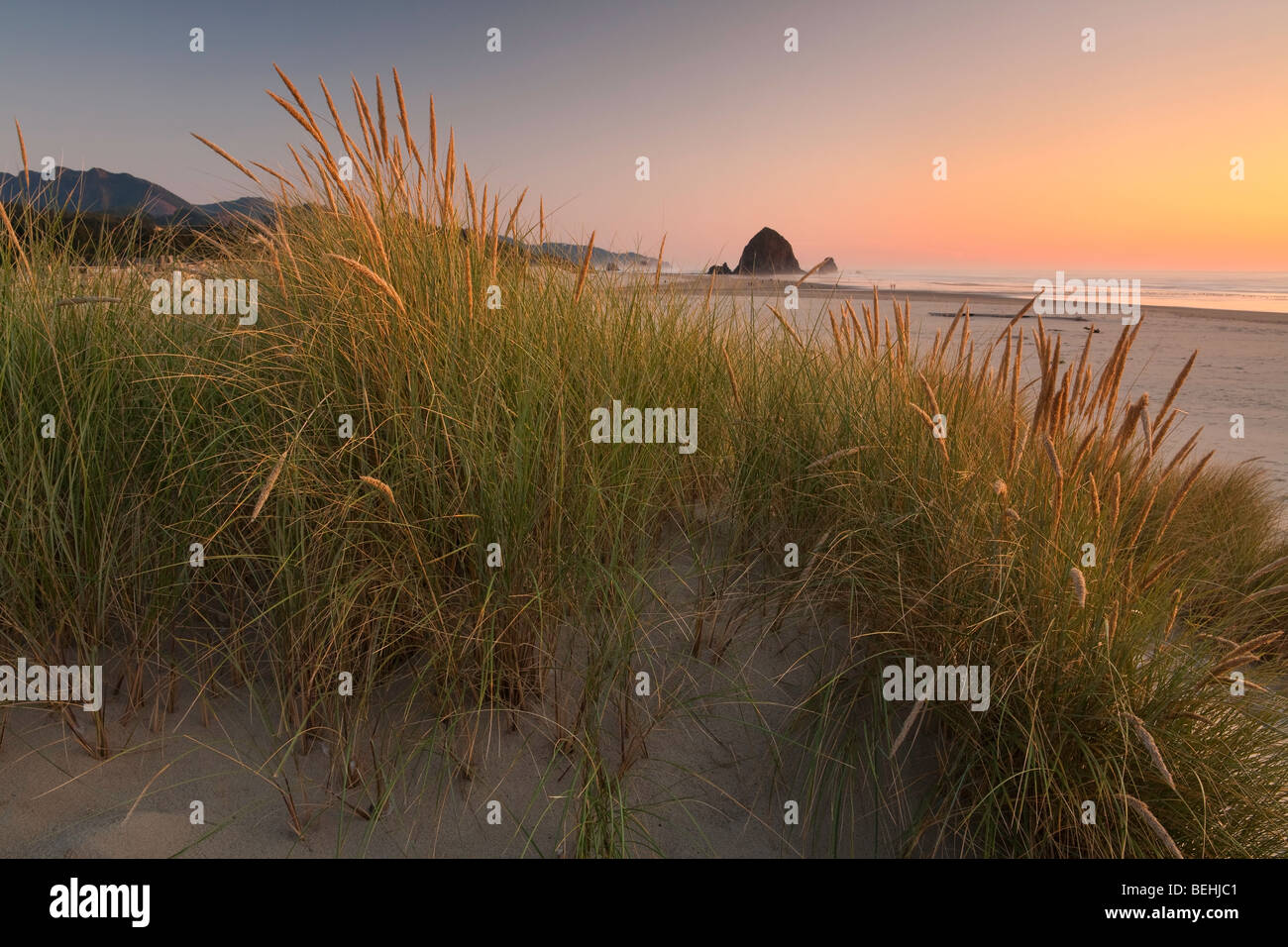 Cannon Beach and Haystack Rock Stock Photo - Alamy
