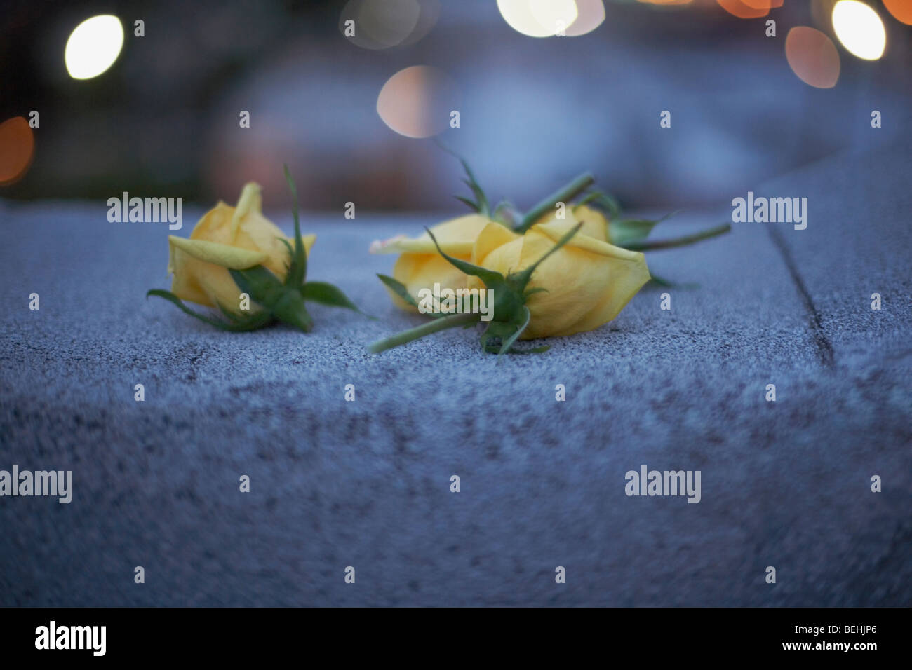 Objects on ledge hi-res stock photography and images - Alamy