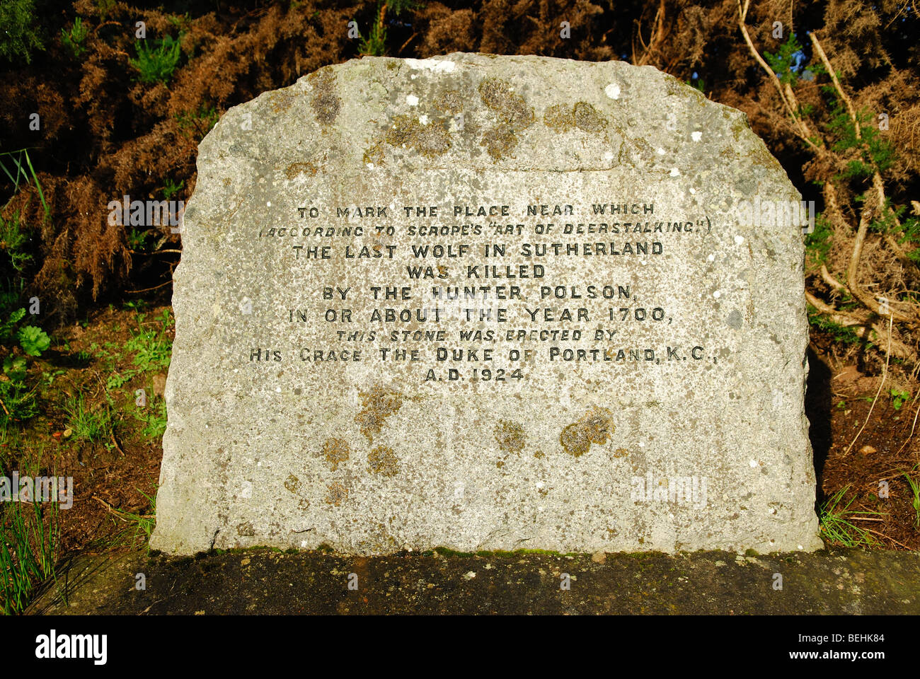 Wolf Stone Sutherland Scotland Stock Photo - Alamy