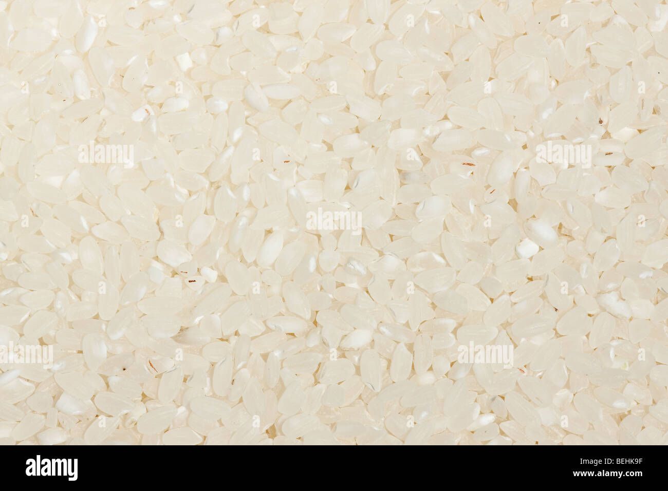 Background of white rice Stock Photo - Alamy