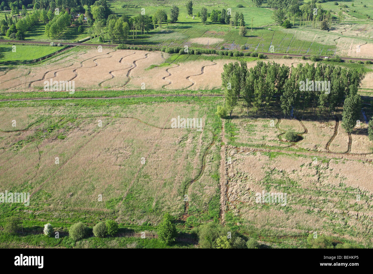 Wetlands and reedland from the air, Demerbroeken nature reserve ...