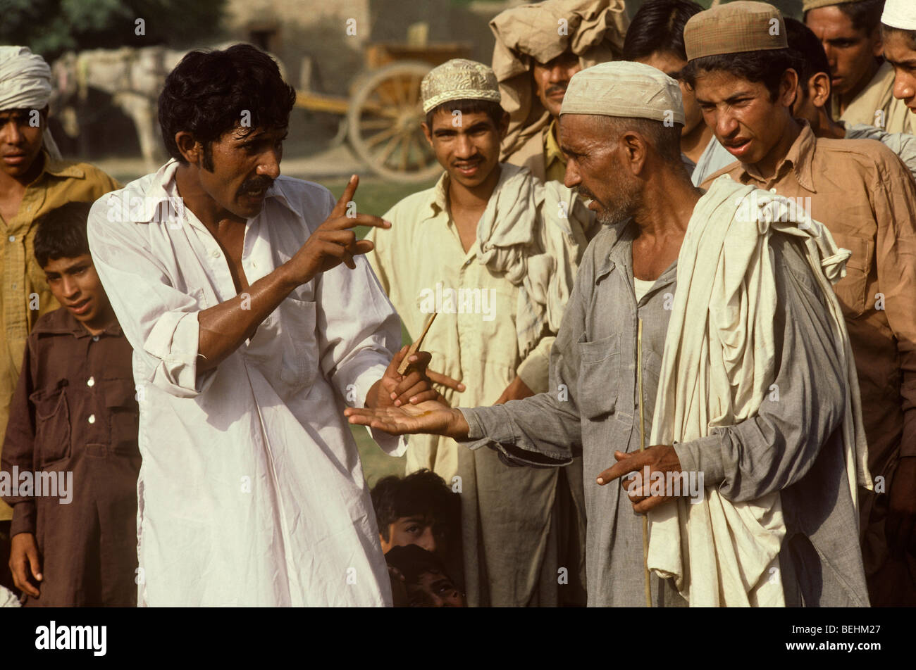 Pathan medicine man at live stock market, Darra Adam Khel, Pakistan ...