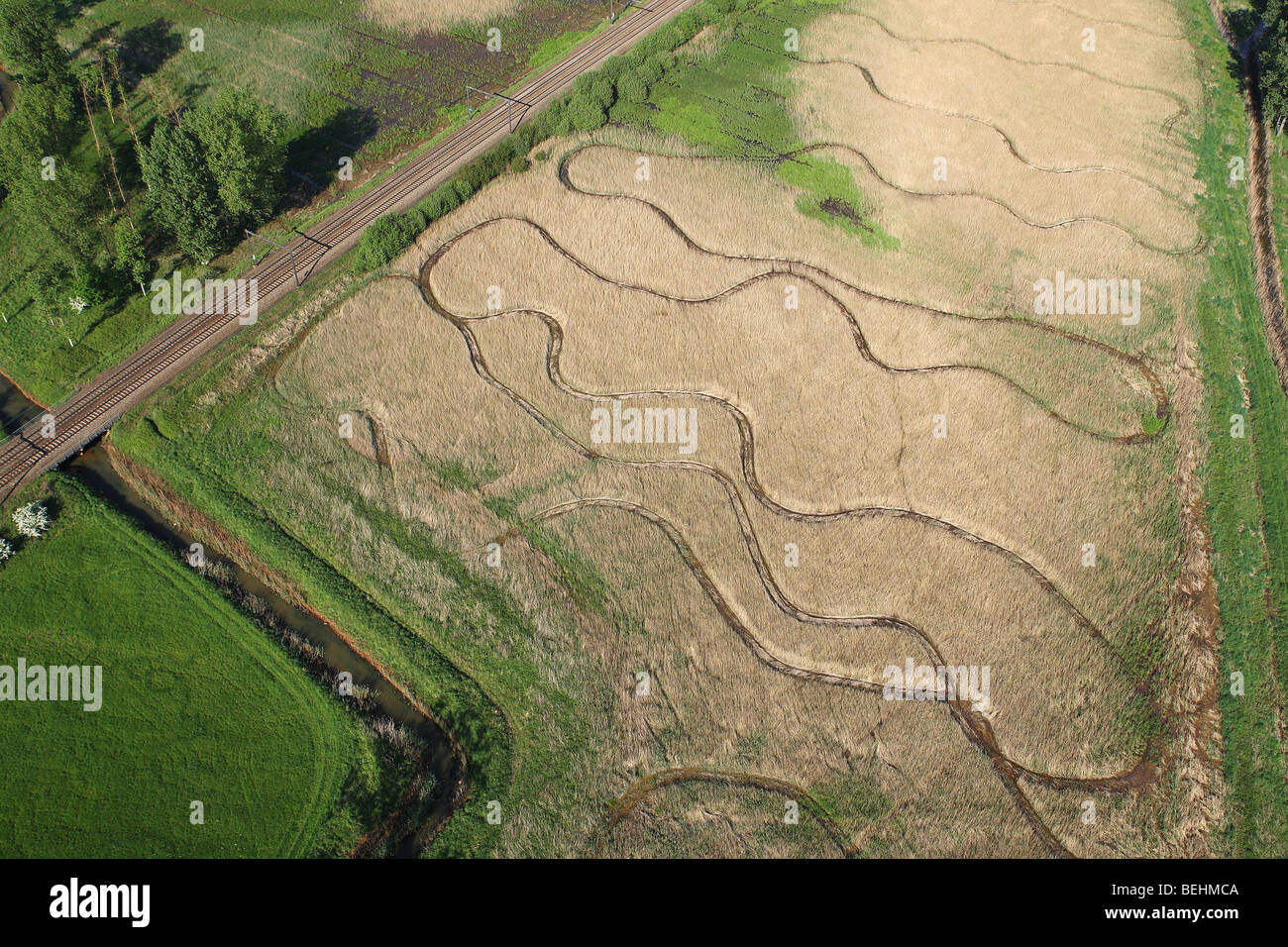 Wetlands and reedland from the air, Demerbroeken nature reserve ...