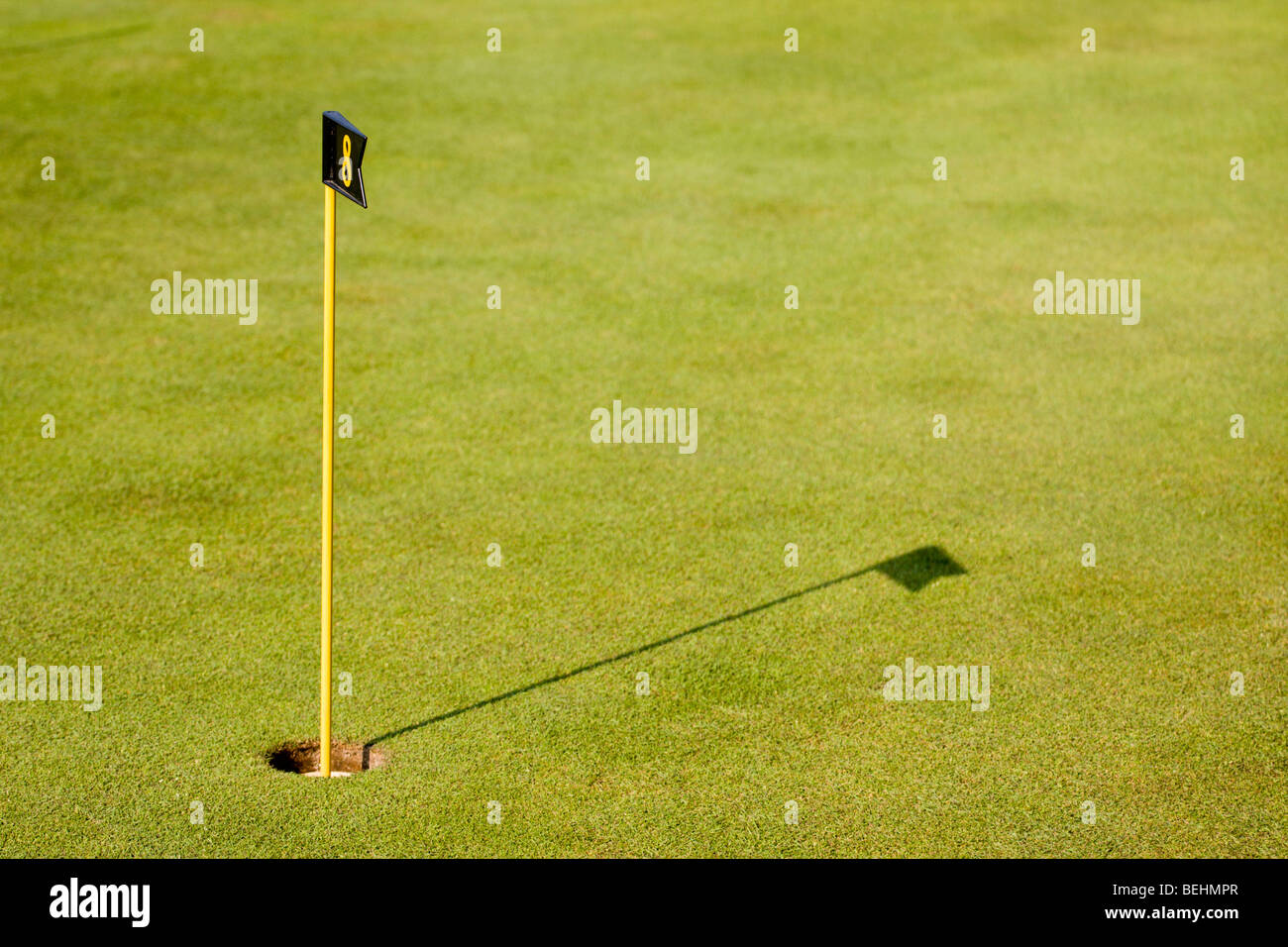 Detail of the golf course with training hole on the green Stock Photo ...