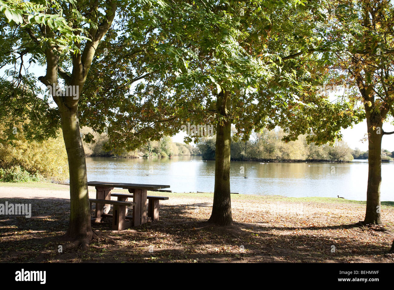 table and bench seat under trees on the banks of a lake in autumn Stock ...