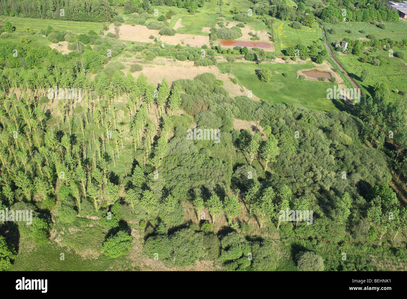 Forested area, wetlands and reedland from the air, Demerbroeken nature ...