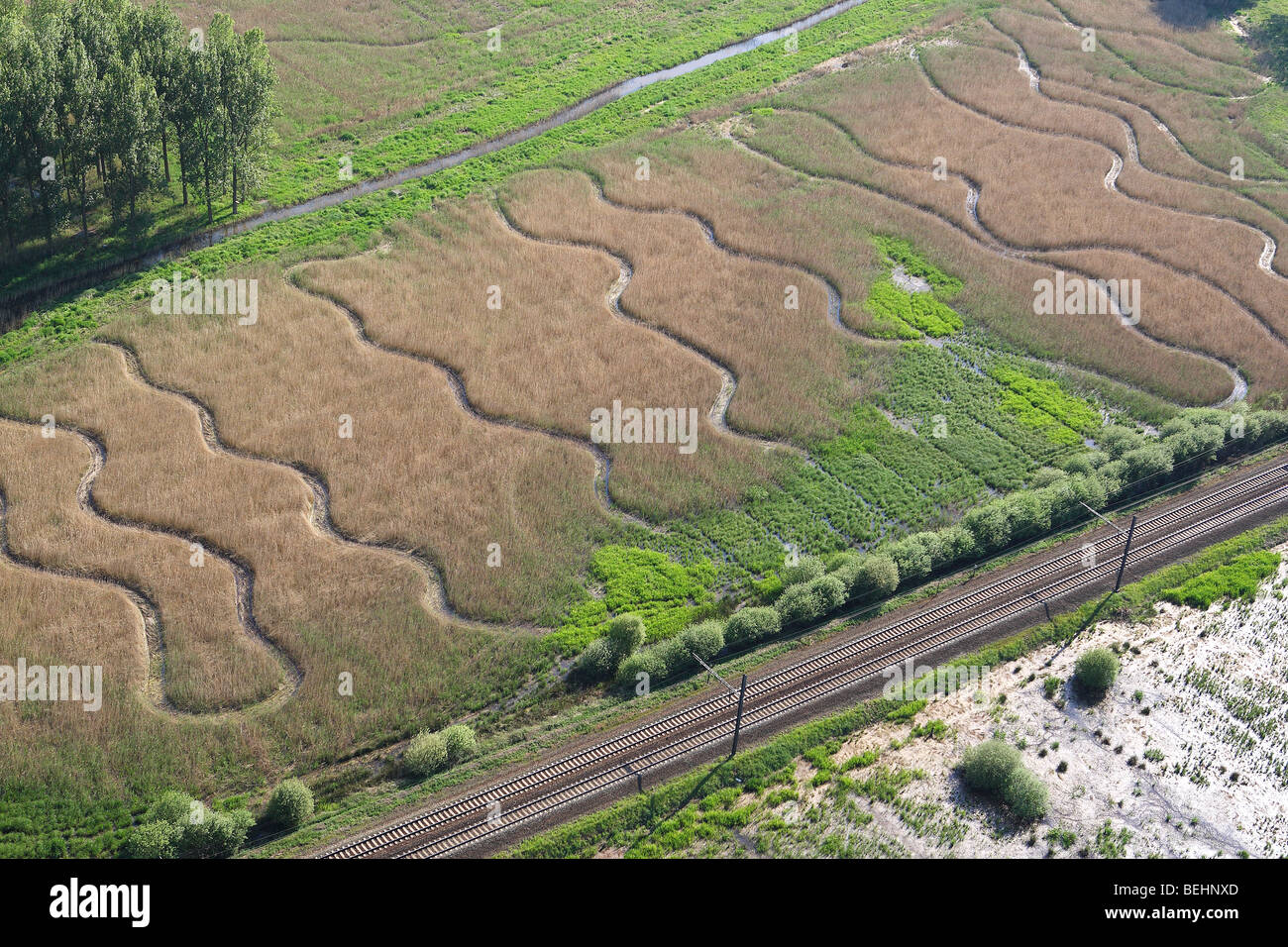 Wetlands and reedland from the air, Demerbroeken nature reserve ...