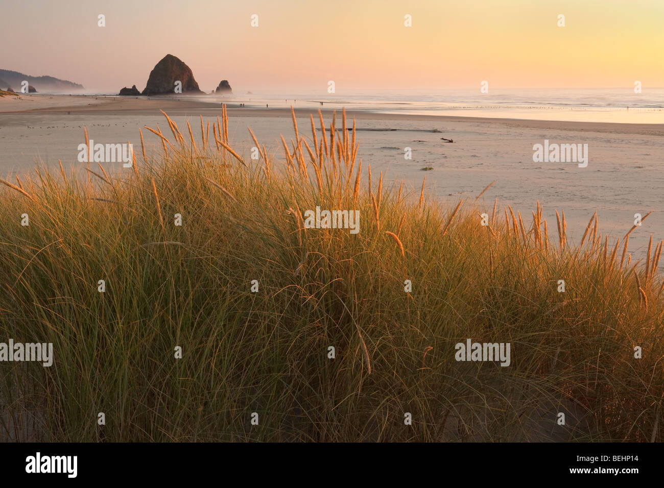 Cannon Beach and Haystack Rock Stock Photo - Alamy