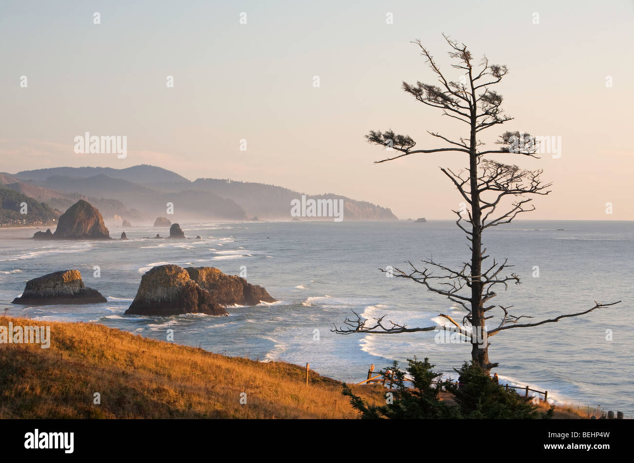 Ecola State Park Stock Photo - Alamy
