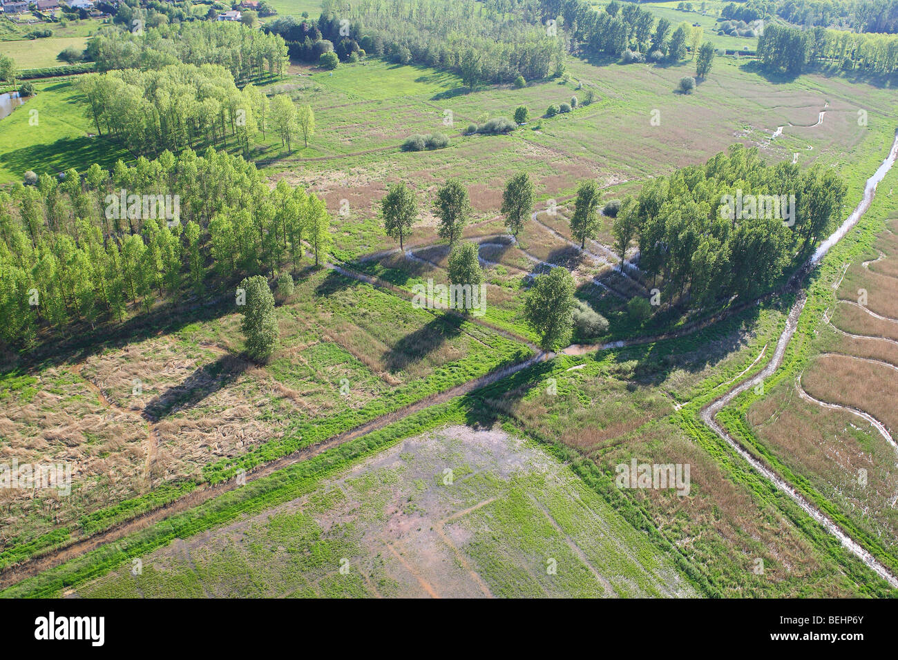 Wetlands and reedland from the air, Demerbroeken nature reserve ...