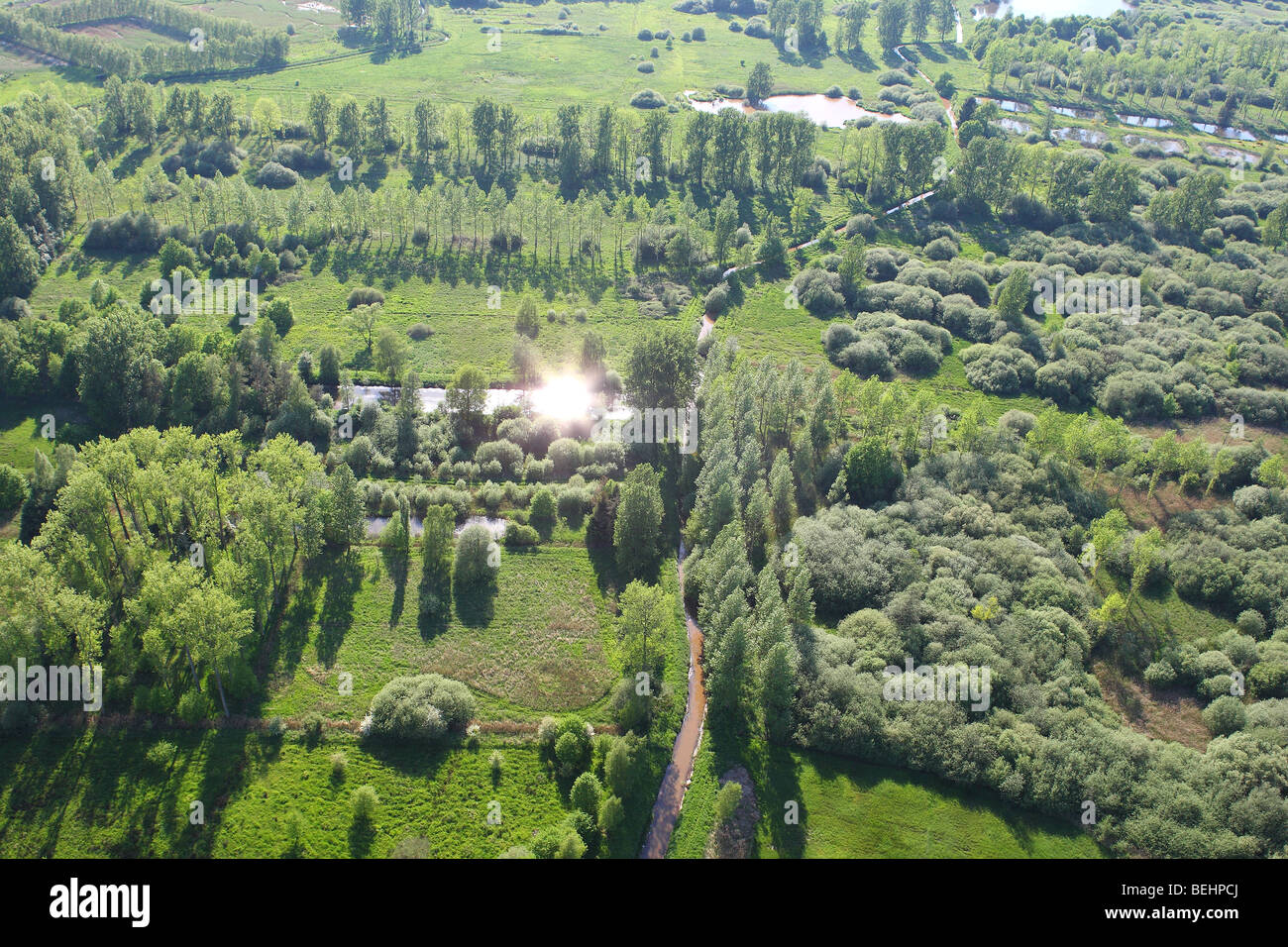 Forested area, wetlands and reedland from the air, Demerbroeken nature ...