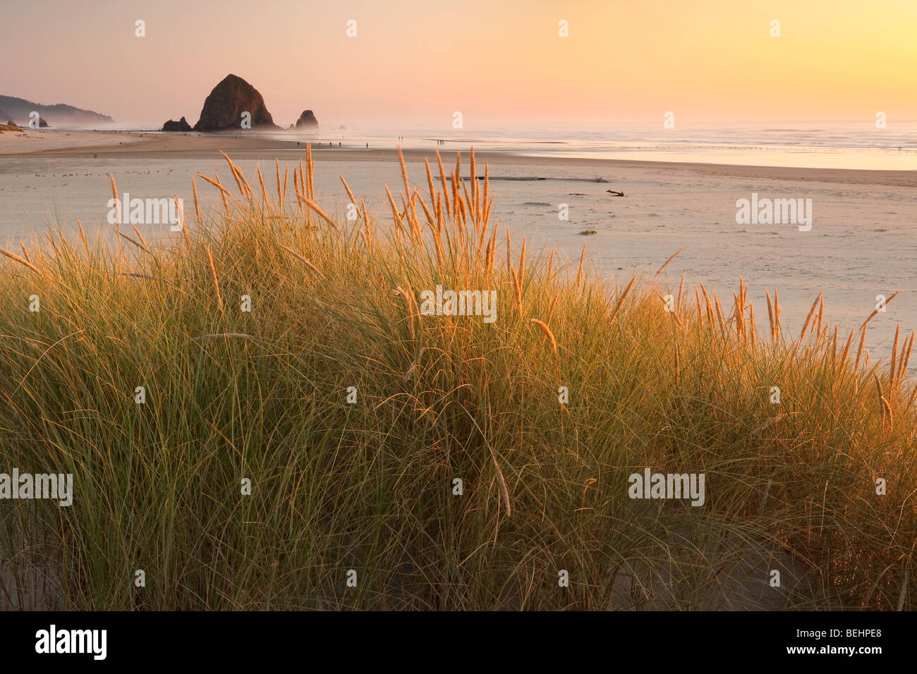Cannon Beach and Haystack Rock Stock Photo - Alamy