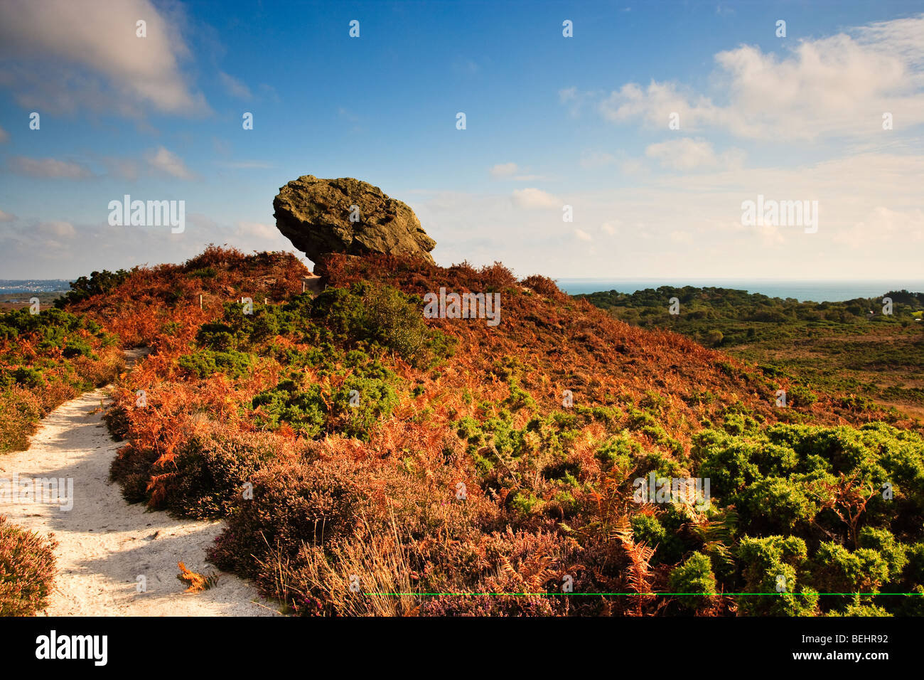 The Agglestone rock, on Studland Heath, Purbeck, Dorset, UK Stock Photo ...
