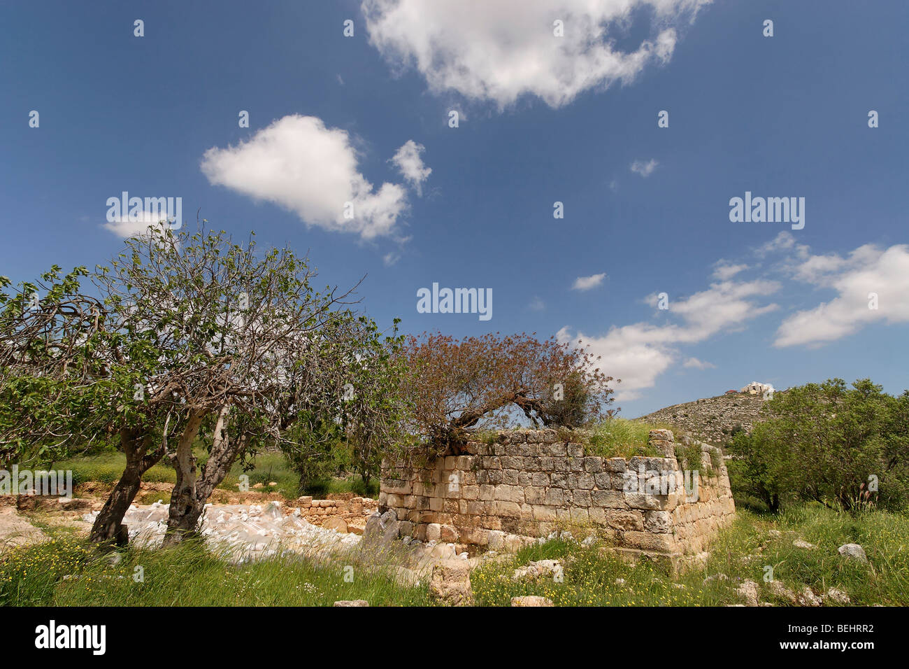 Samaria, ruins of the Byzantine Churches and a Muslim structure in Tel ...