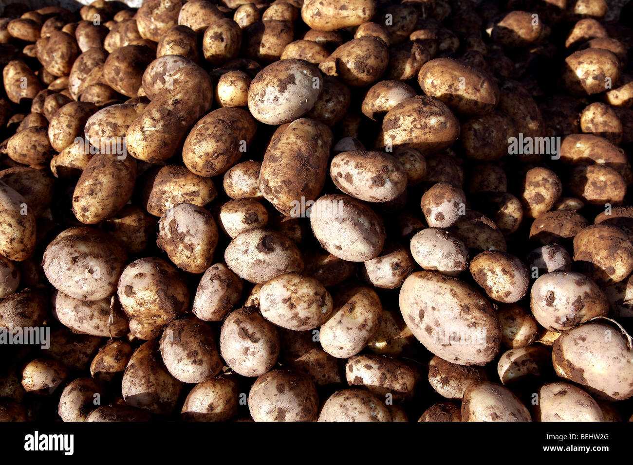 Potato picture hi-res stock photography and images - Alamy