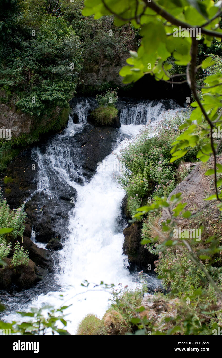 Foux hi-res stock photography and images - Alamy