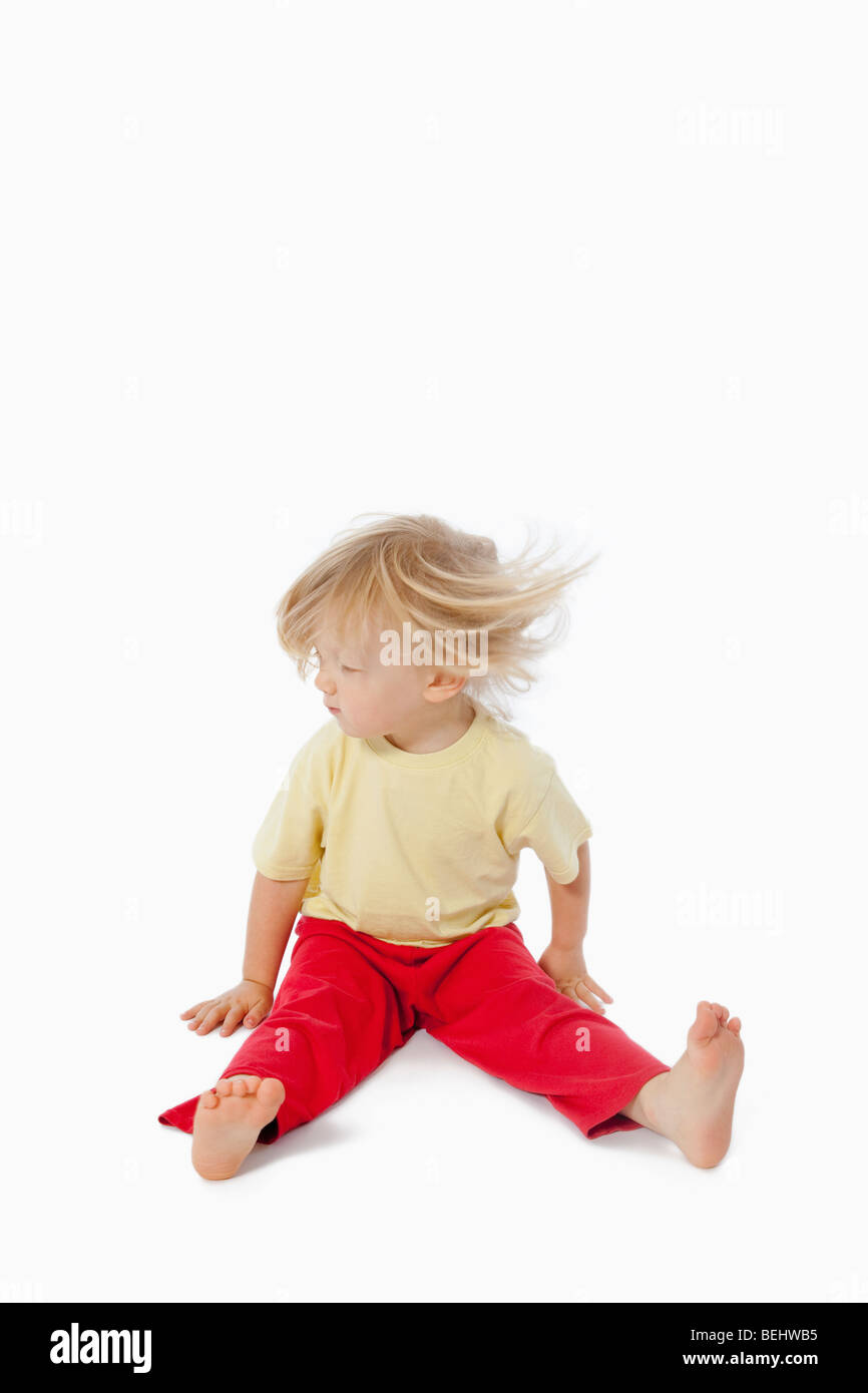 Fly head Cut Out Stock Images & Pictures - Alamy