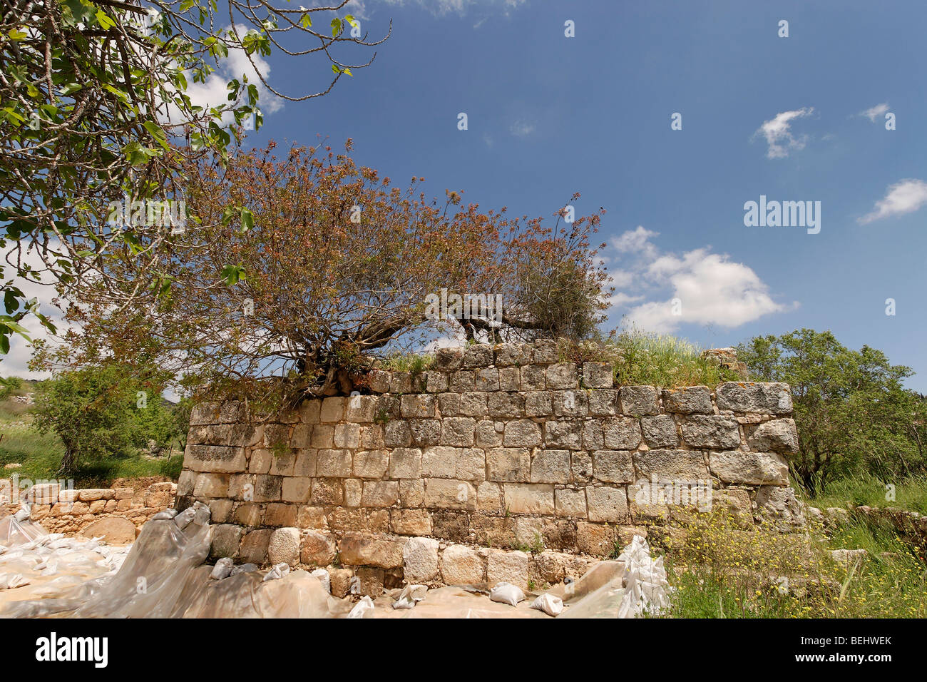 Samaria, ruins of the Byzantine Churches and a Muslim structure in Tel ...