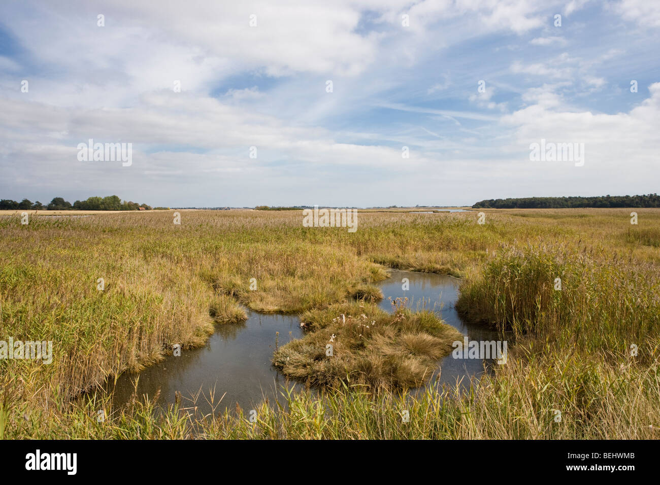 Walberswick Nature Reserve Suffolk England Stock Photo - Alamy