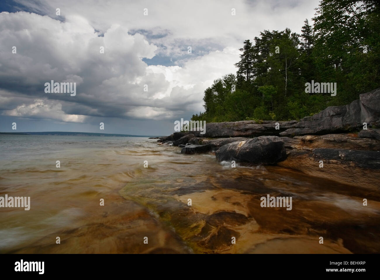 Picture of forest and water hi-res stock photography and images - Alamy