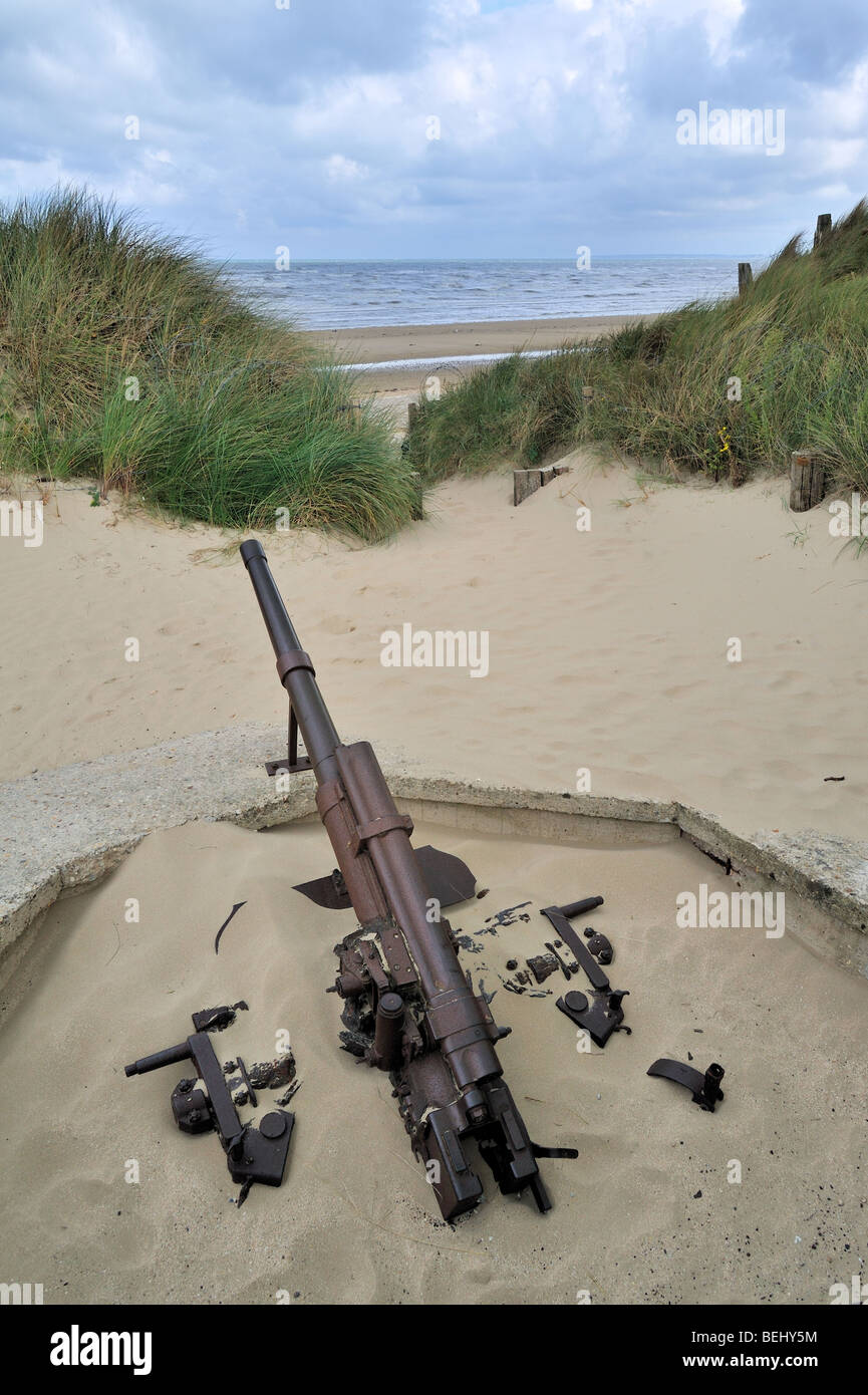 German Second World War Two cannon in the dunes near the WW2 Utah Beach ...