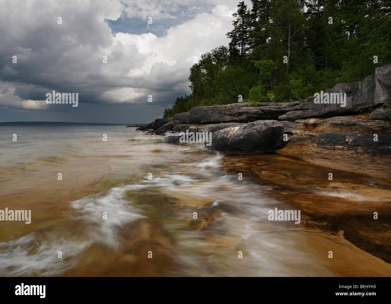 Picture of forest and water hi-res stock photography and images - Alamy