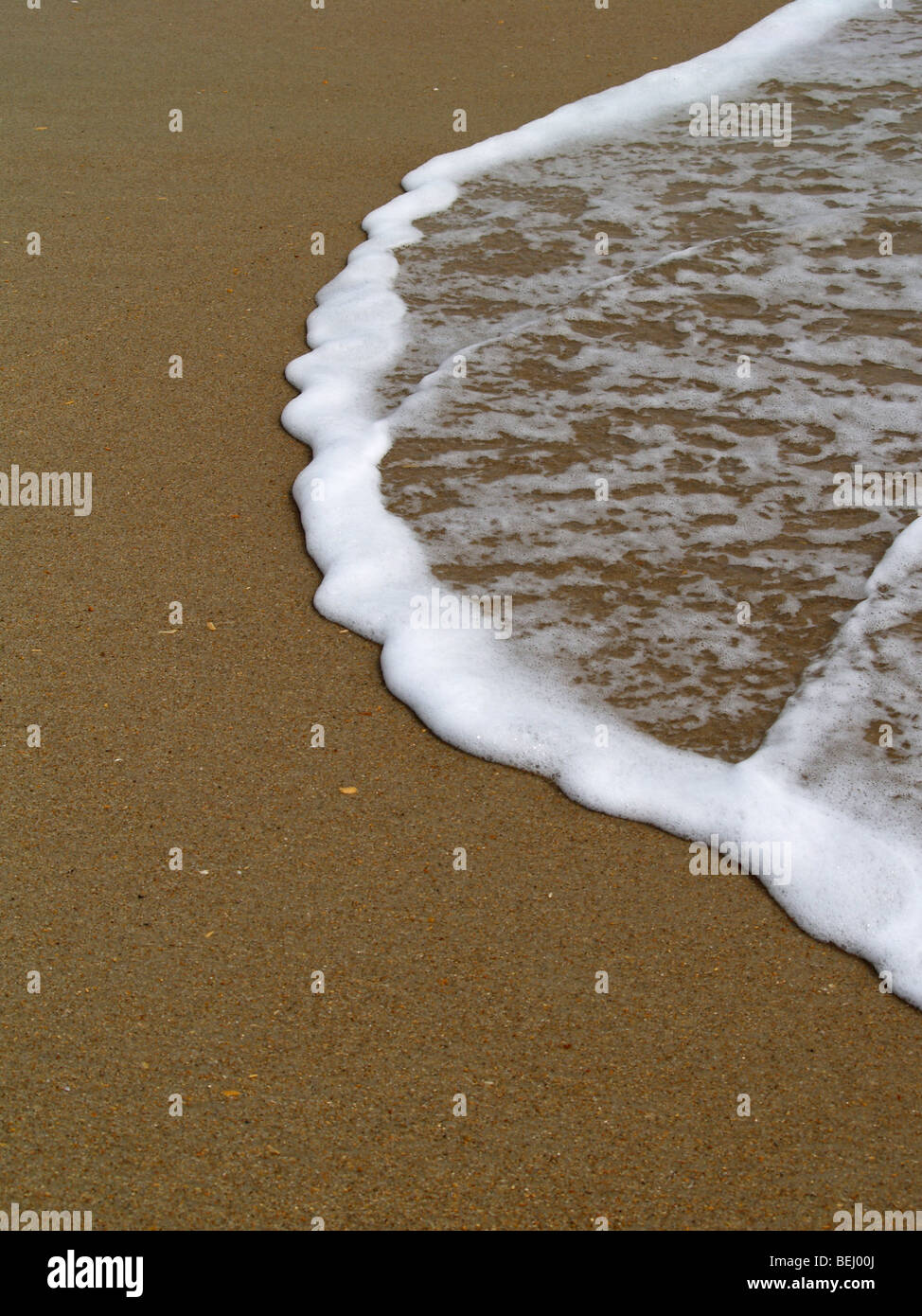 The transition between land and water. The very edge of an ocean wave ...