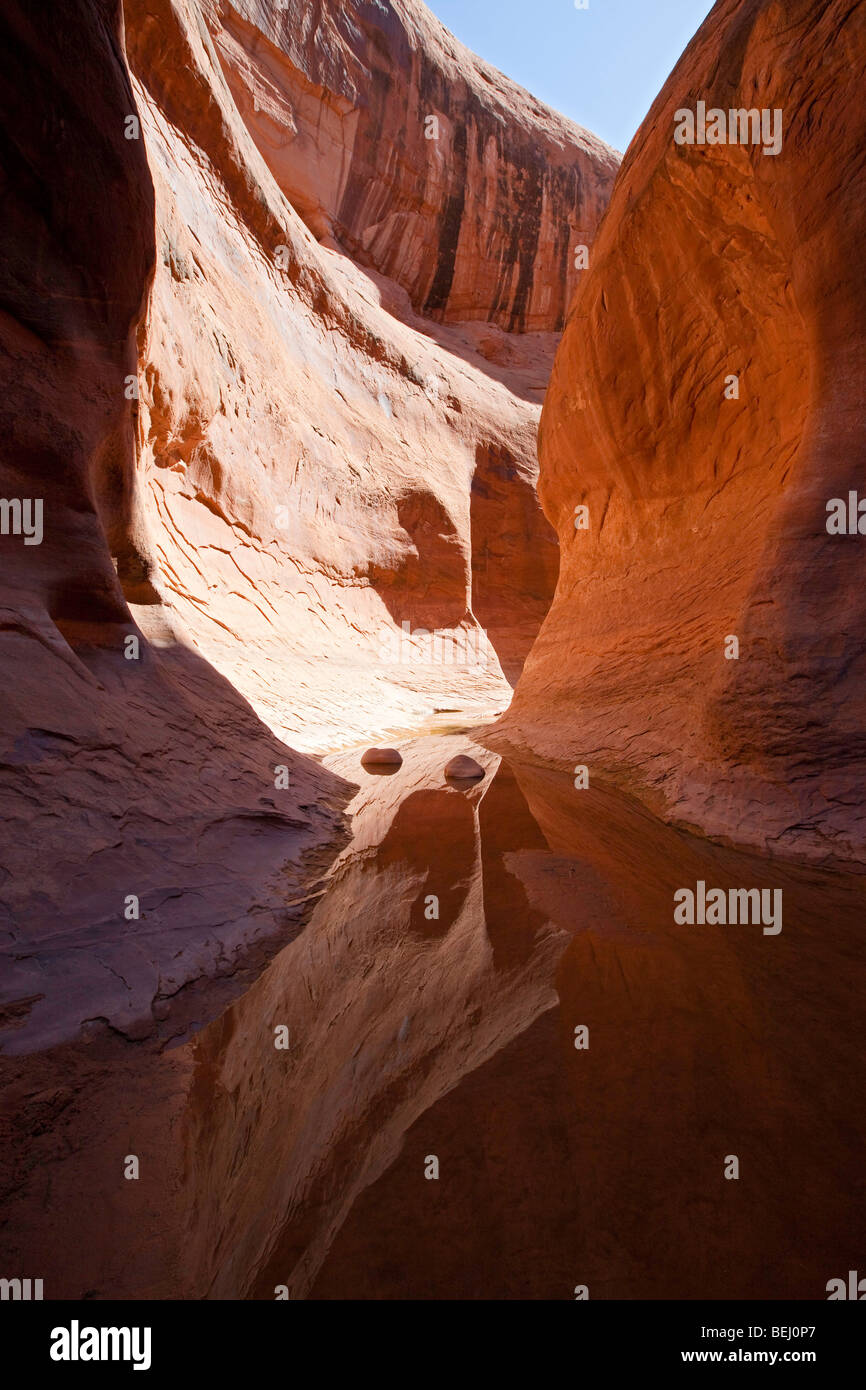 Exploring the side canyons of Glen Canyon National Recreation Area ...