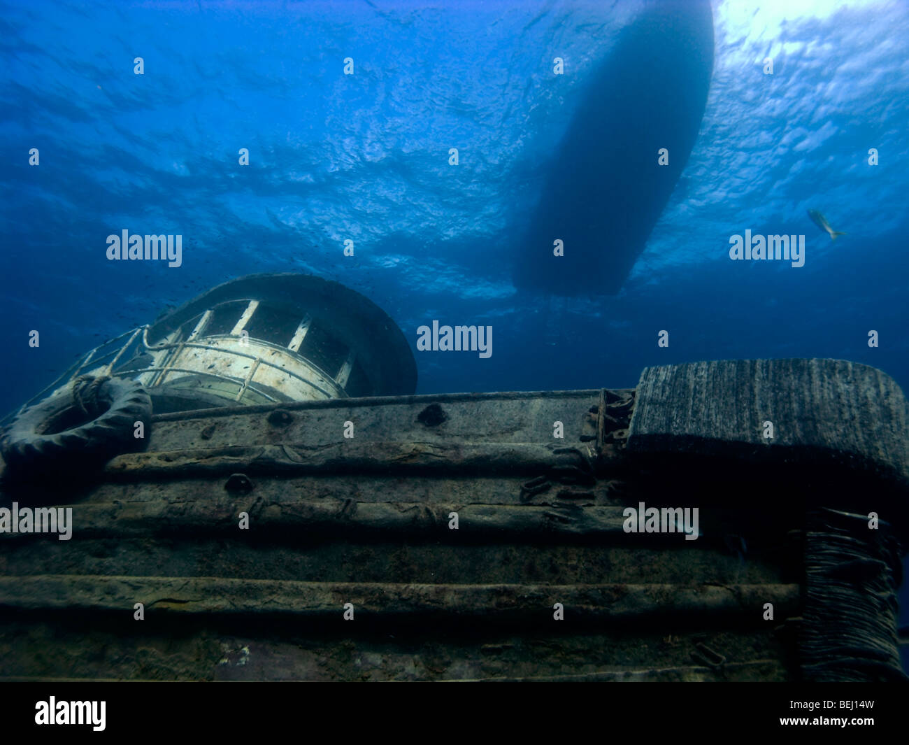 Anthony Bell Wreck, Nassau, Bahamas Stock Photo - Alamy