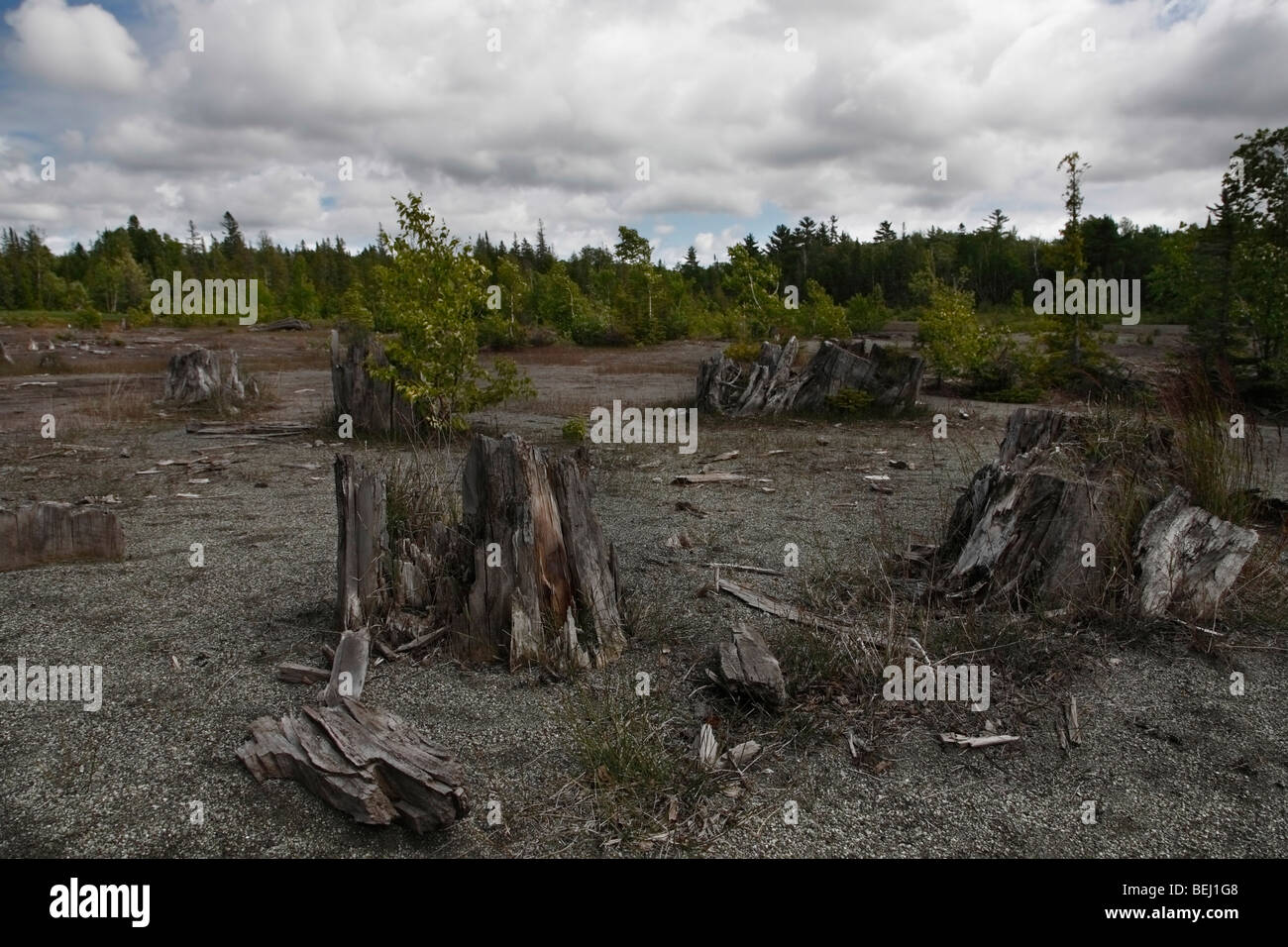 Devastated devastation hi-res stock photography and images - Alamy