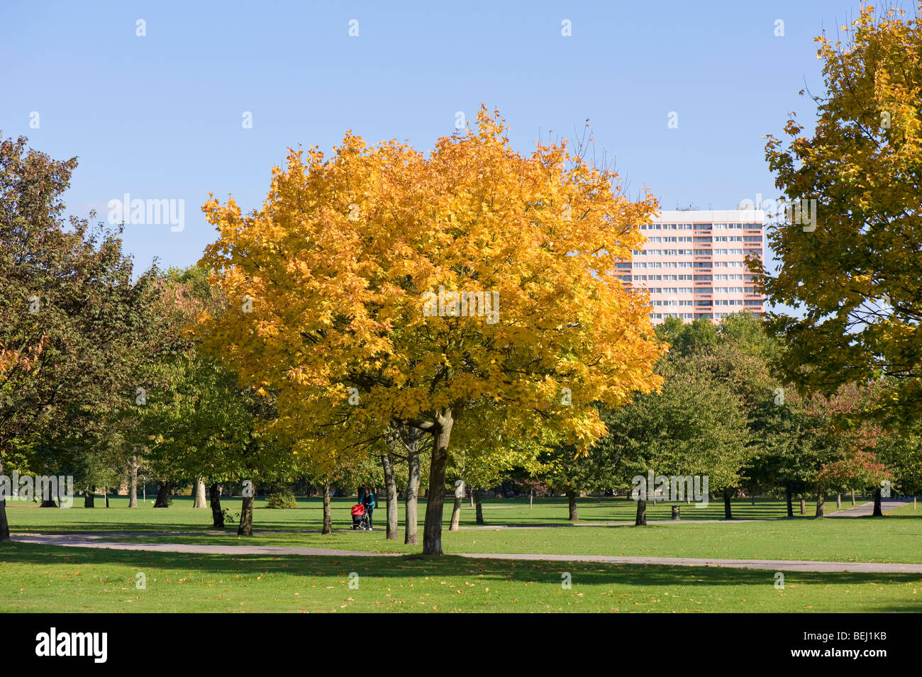 Victoria Park, Hackney, London, United Kingdom Stock Photo - Alamy