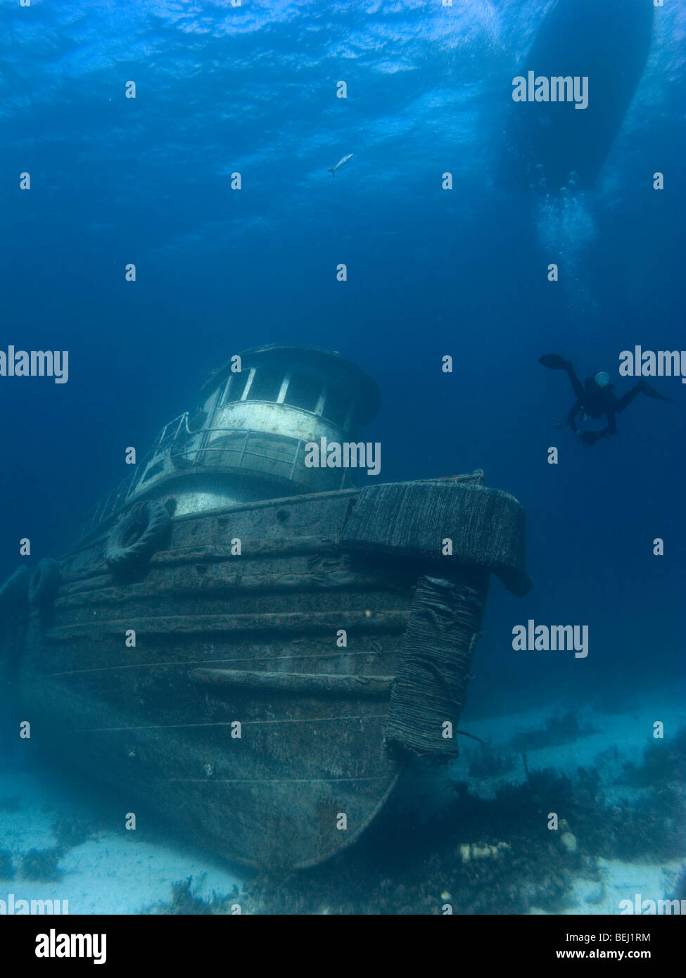 Anthony Bell Wreck, Nassau, Bahamas Stock Photo - Alamy