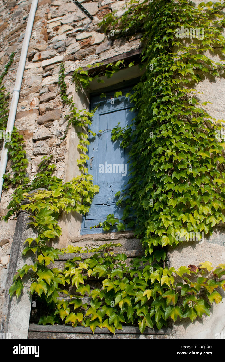 Overgrown house virginia creeper hi-res stock photography and images ...
