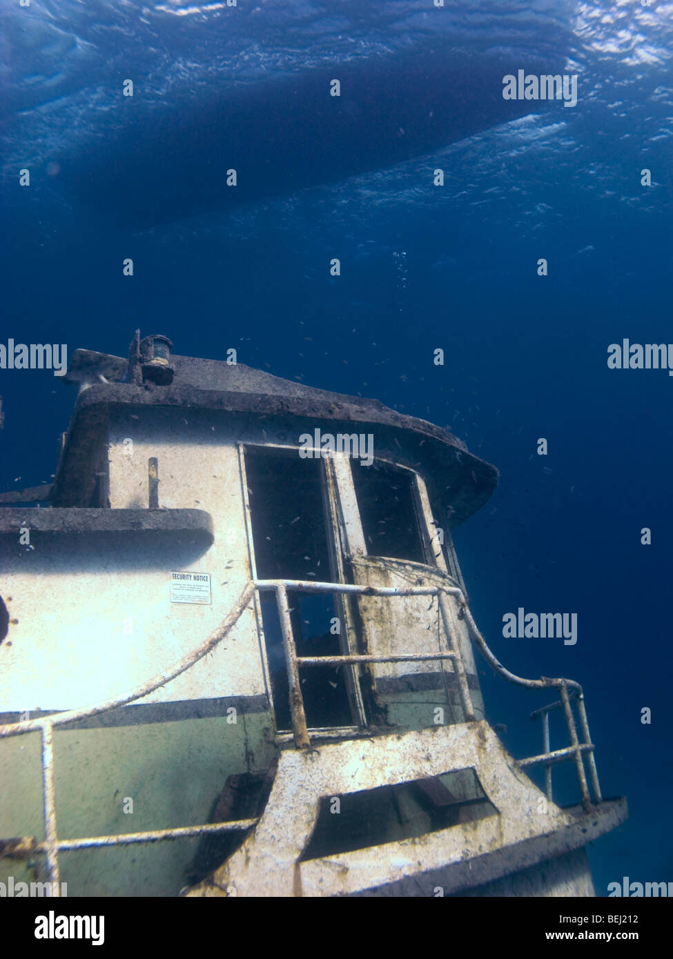 Anthony Bell Wreck, Nassau, Bahamas Stock Photo - Alamy