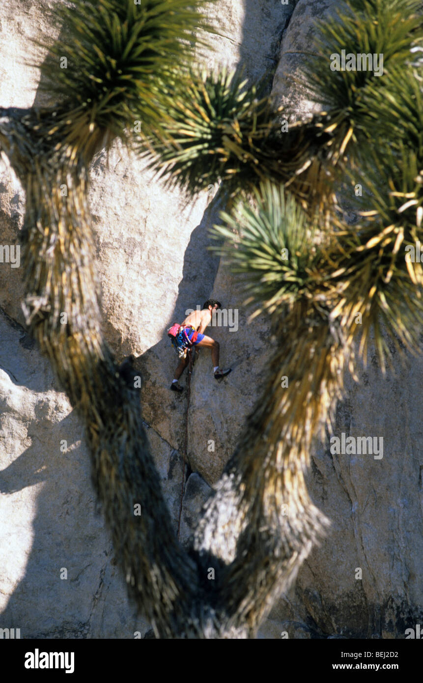 procedure rope belay rappel sandstone Yucca Tree National Monument park ...