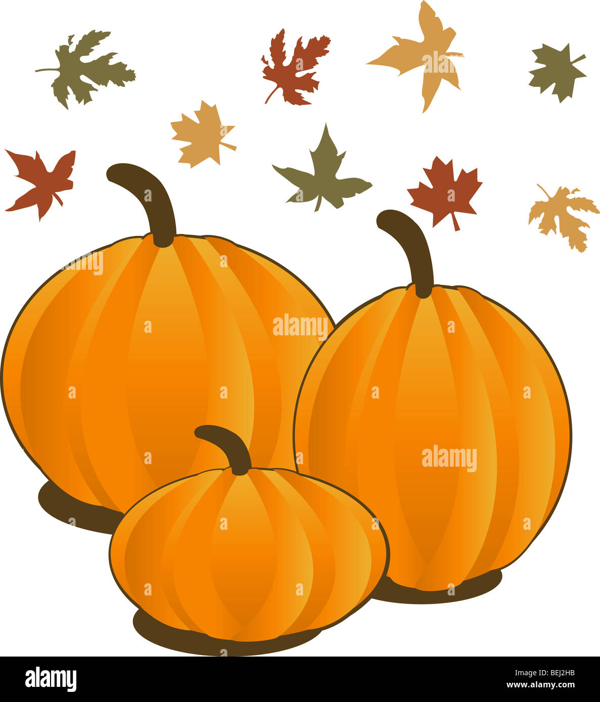 Vector Illustration for Fall Autumn Leaves and Pumpkins Stock Photo - Alamy