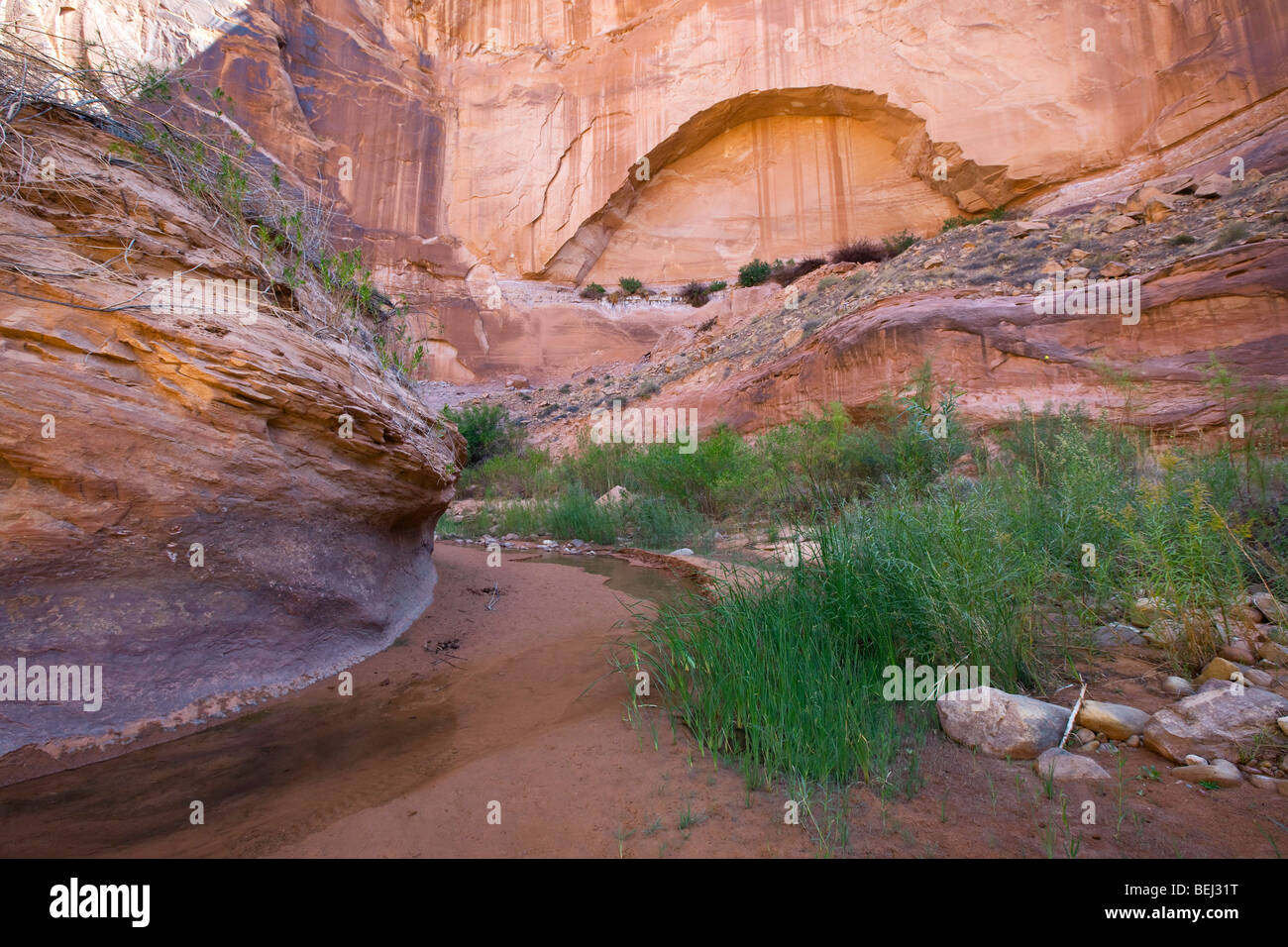 The forming of an arch in the side canyons of Lake Powell, Utah Stock ...