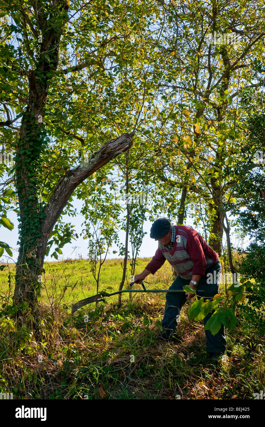 Farmer cutting dry grass with scythe hi-res stock photography and ...