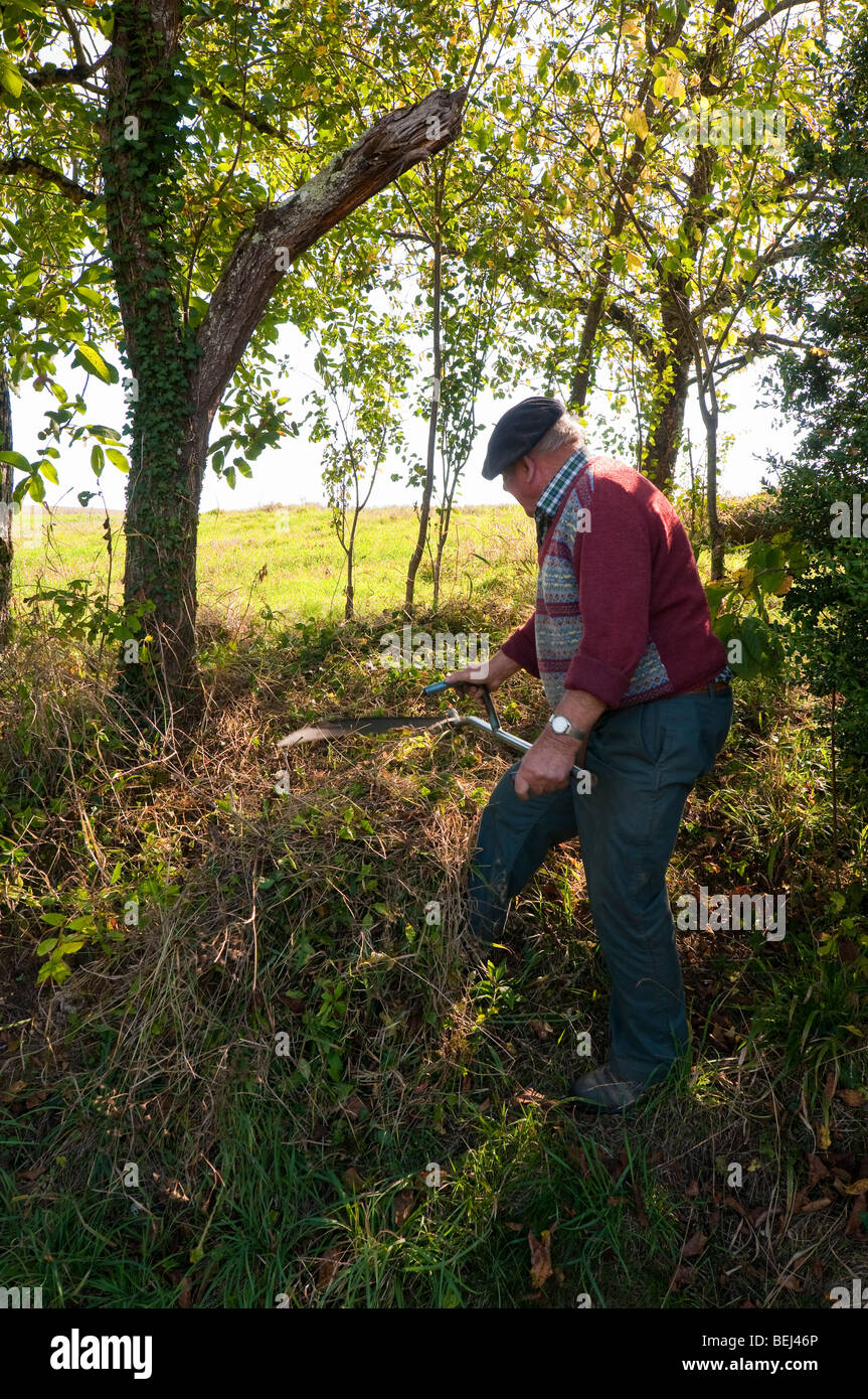 Farmer cutting dry grass with scythe hi-res stock photography and ...
