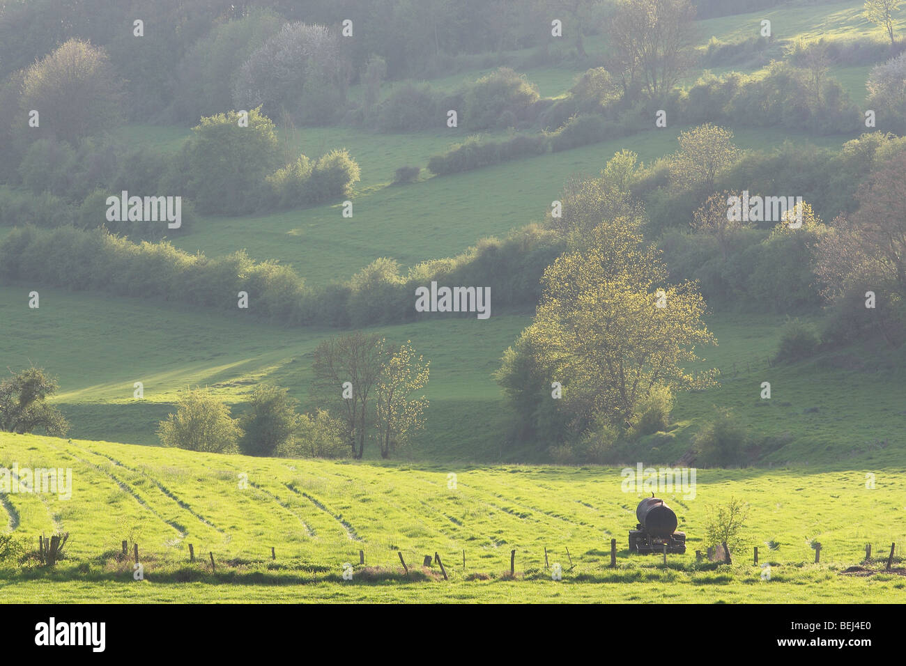 Bocage landscape with hedges and trees, Voeren, Belgium Stock Photo - Alamy