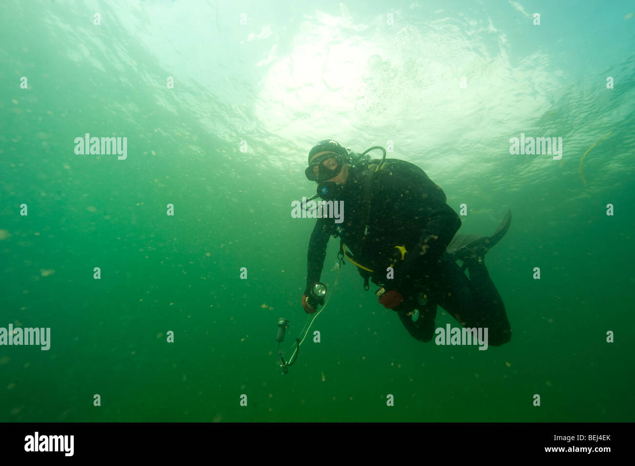 Diver underwater, Sweden Stock Photo - Alamy