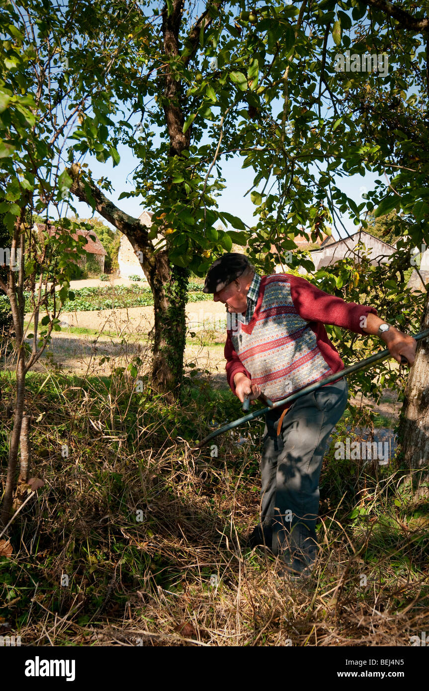 Scything hi-res stock photography and images - Alamy