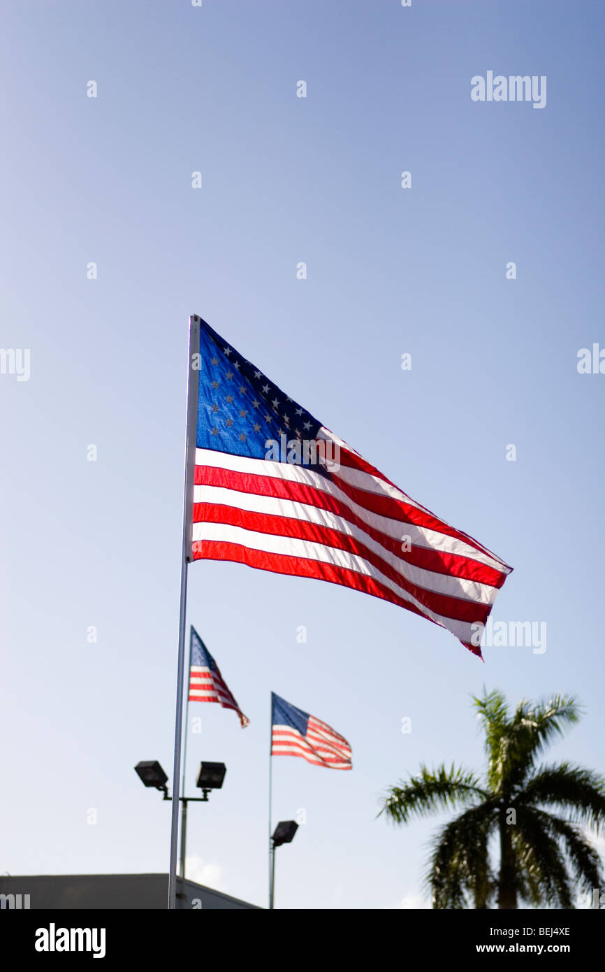 Waving three american flags hi-res stock photography and images - Alamy