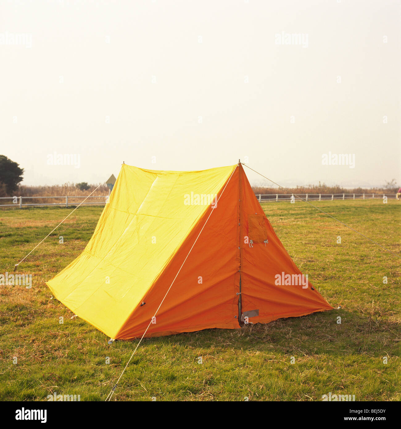 Tent in a field Stock Photo - Alamy