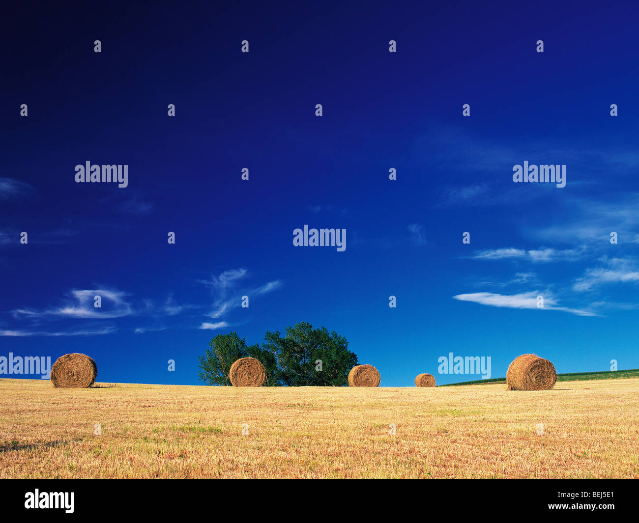 Hay sky blue field hi-res stock photography and images - Alamy