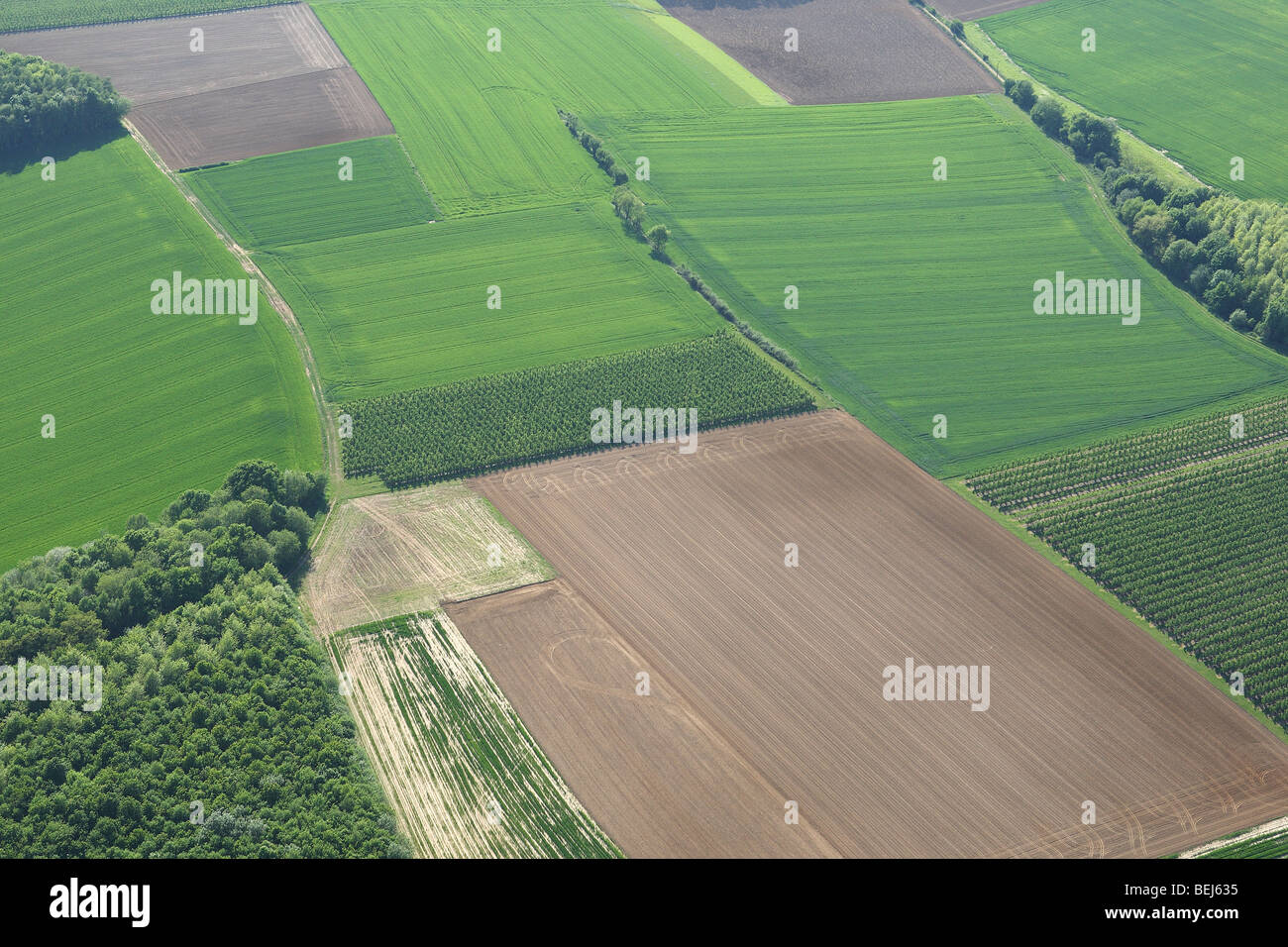 Agricultural area with fields, grasslands, forested area and hedges ...