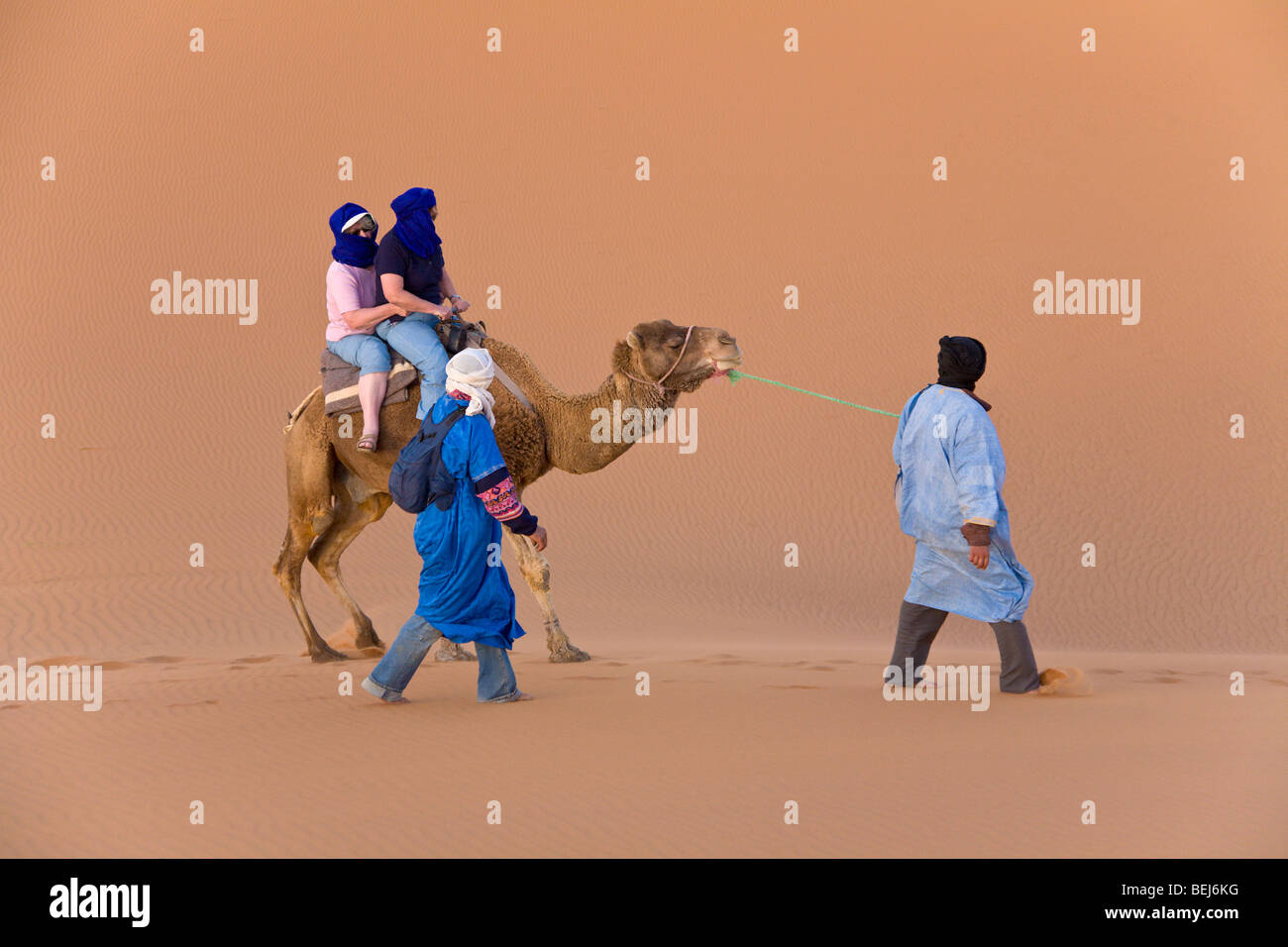 Tourists on a camel ride Merzouga Dunes Sahara Morocco Stock Photo - Alamy