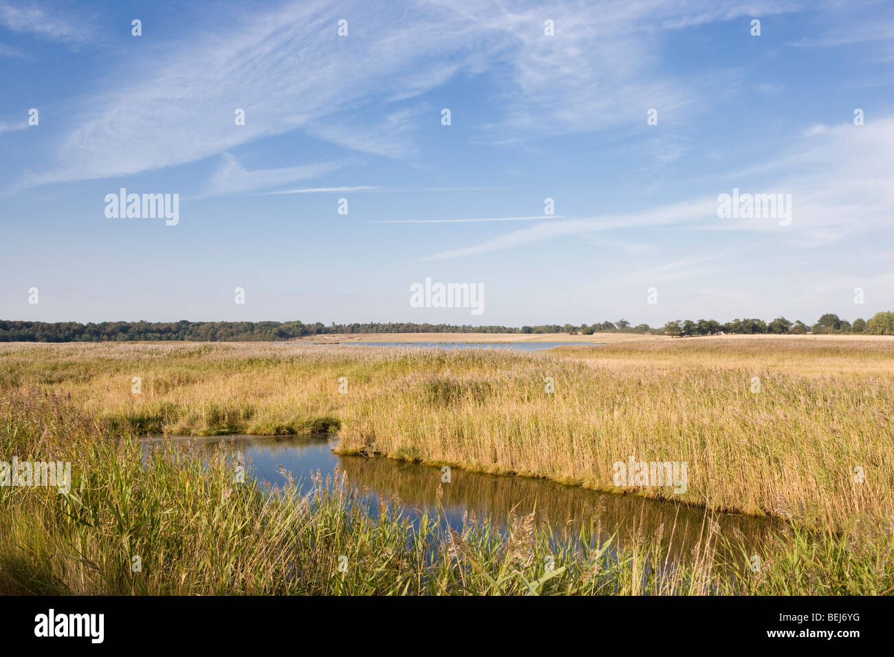English nature walberswick nature reserve hi-res stock photography and ...