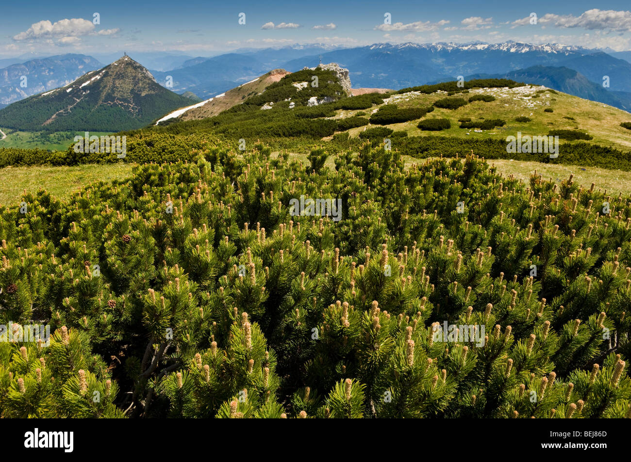 Cima verde mountain hi-res stock photography and images - Alamy
