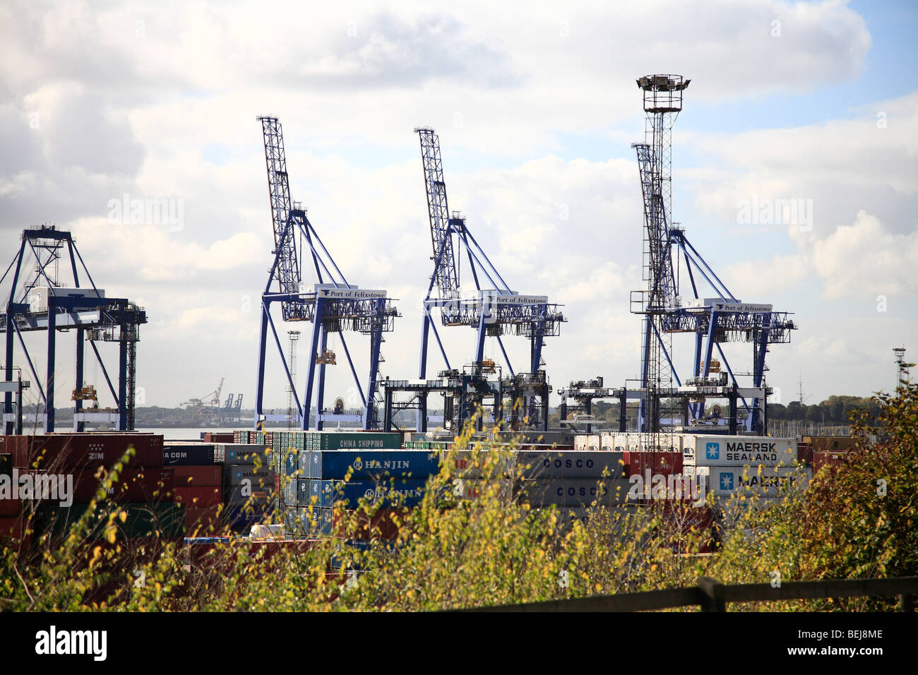 Container lifting cranes hi-res stock photography and images - Alamy